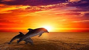 ?Красивая расслабляющая и успокаивающая музыка?