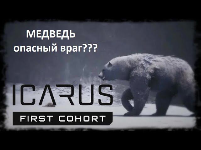 Icarus - медведь помог провалить миссию