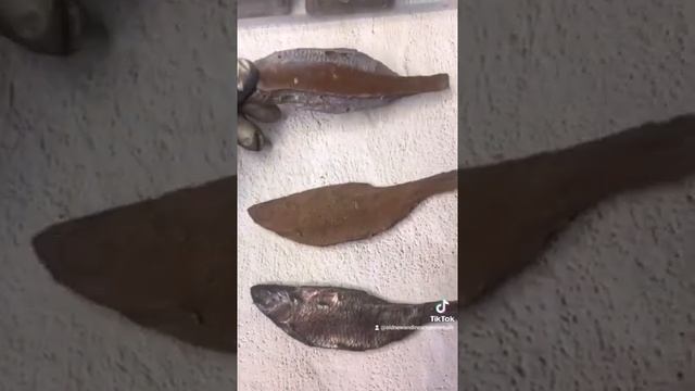 2D-шоколадная рыба!_2D chocolate fish!??????.mp4