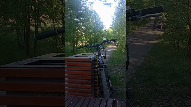 скрытая камера парк