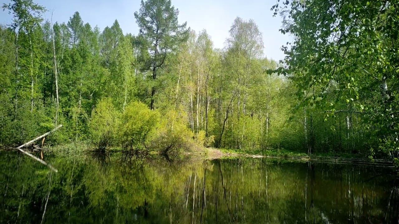 Озерный релакс