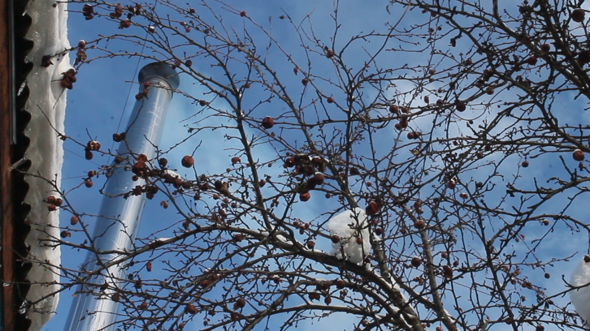 Самый простой но эффективный способ очистки дымовой трубы.