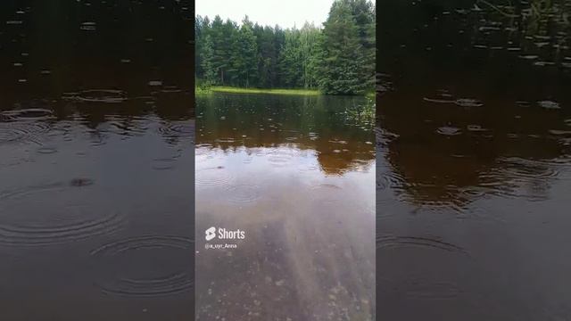 Август, дождь, тишина