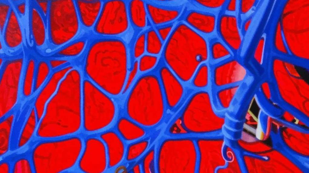 "Варикозное расширение вен" из книги Old age its cause and prevention by Sanford Bennett