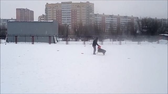 Вебстайл 2018  Лариса и Фред.mp4