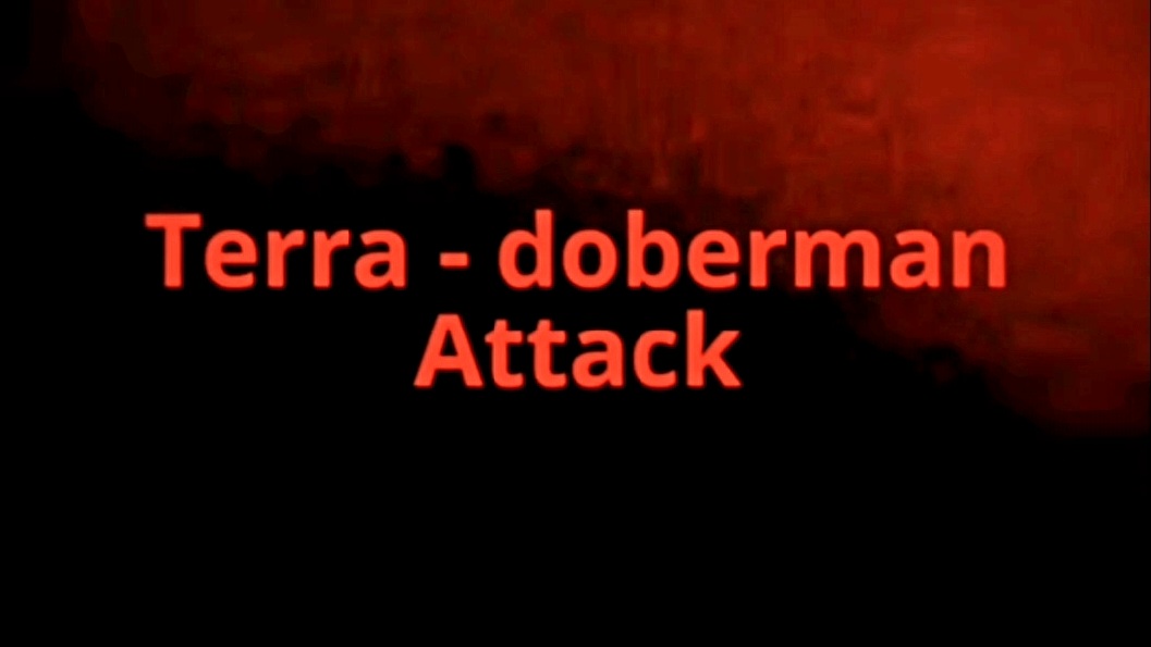 Терра доберман
Тренировка по защите хозяина