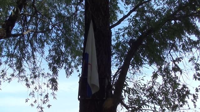 День ВМФ 2021