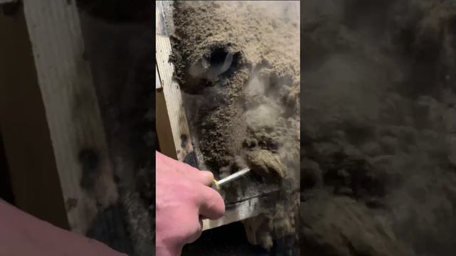 Залили гидрогель алюминием , полный выпуск в профиле #garinisch