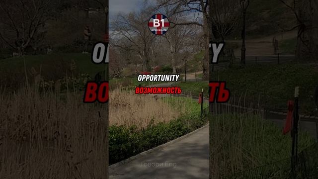 Проверь свой уровень английского языка.