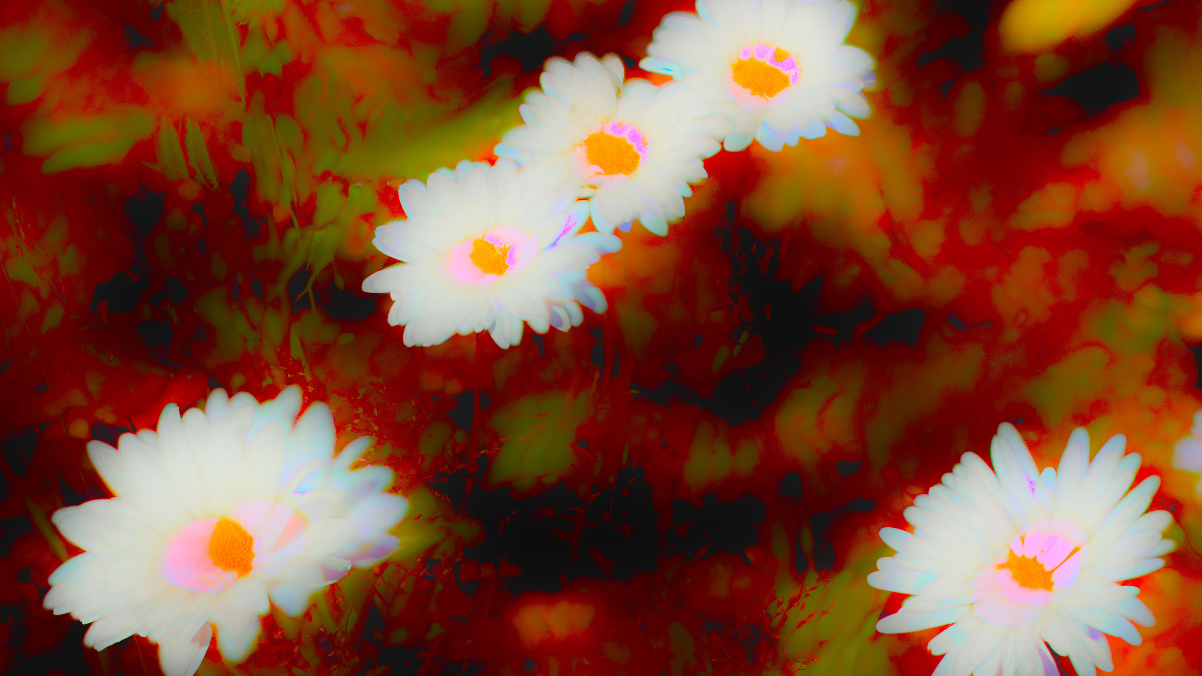 ⌖︎f5 fˣˣˣˣ  Путешествуйте с журналом˖ ˖˖Осенний переезд˖ ˖˖А 114˖ ˖˖Ночной вид