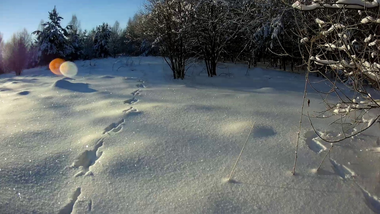 ОХОТА НА ЗАЙЦА С ПОДХОДА.mp4