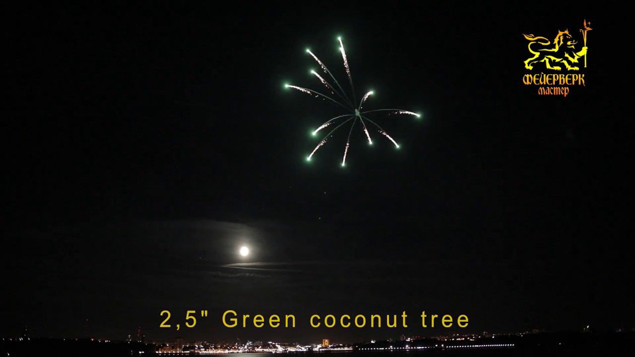 2,5" Green coconut tree