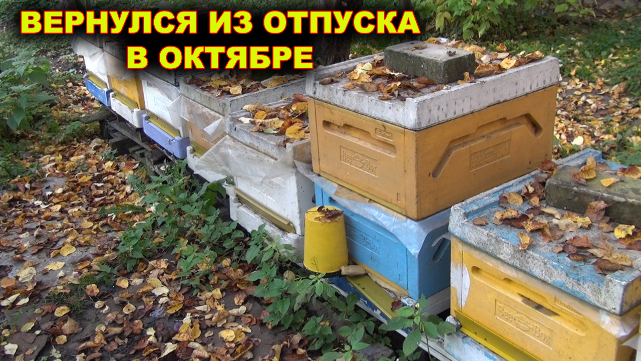 Вернулся из отпуска. Прошу молитв.