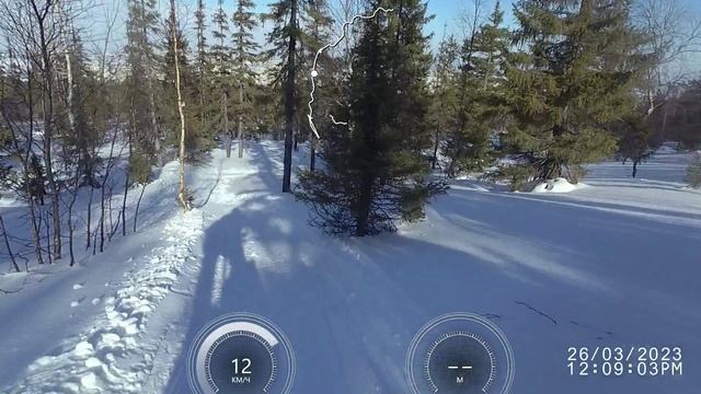 Прогулка по велотрассе "Лапландия" 26 марта 2023 г.