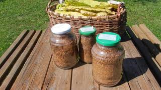 Сезон 2019 подходит к концу часть 14