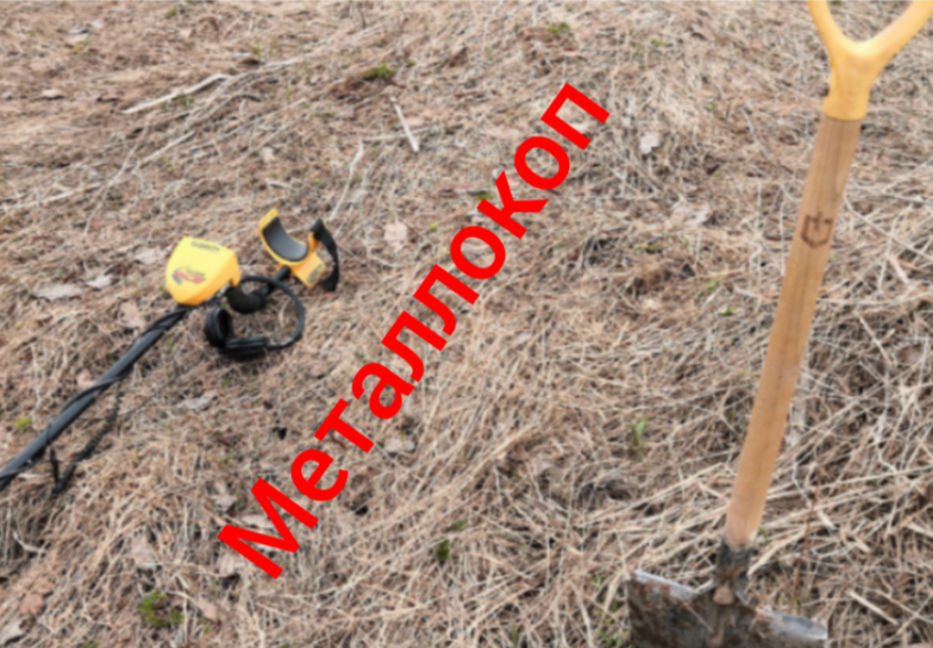 Выходной с металлоискателем / Металлокоп