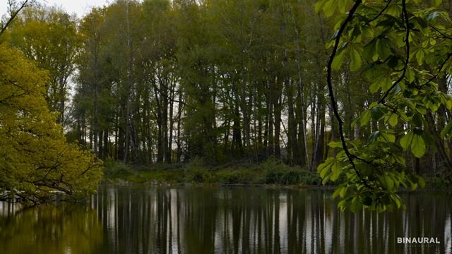 ASMR 4k Успокаивающая музыка для снятия стресса. Самые красивые города мира. Планета Земля