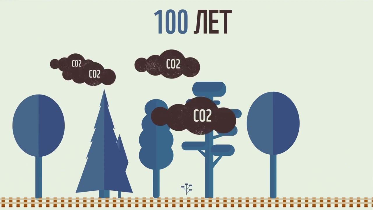 Что такое экослед