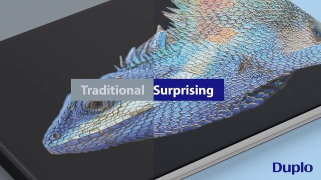 Использование выборочной лакировки Dusense от Duplo International для создания 3D эффекта