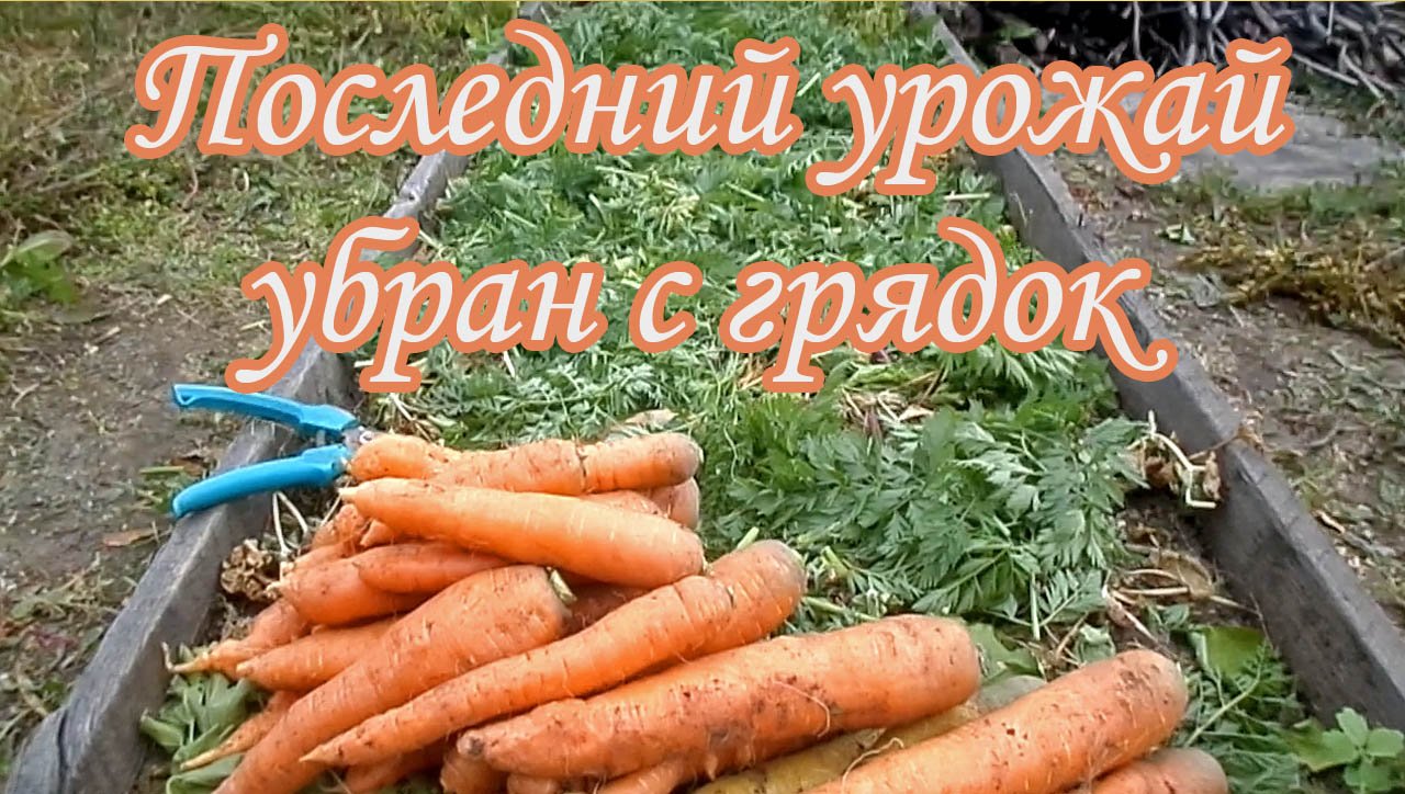 корнеплоды, ремонт. компост.mp4