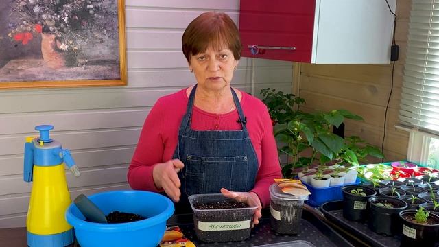 Посев семян лука на рассаду. Февраль 2023.