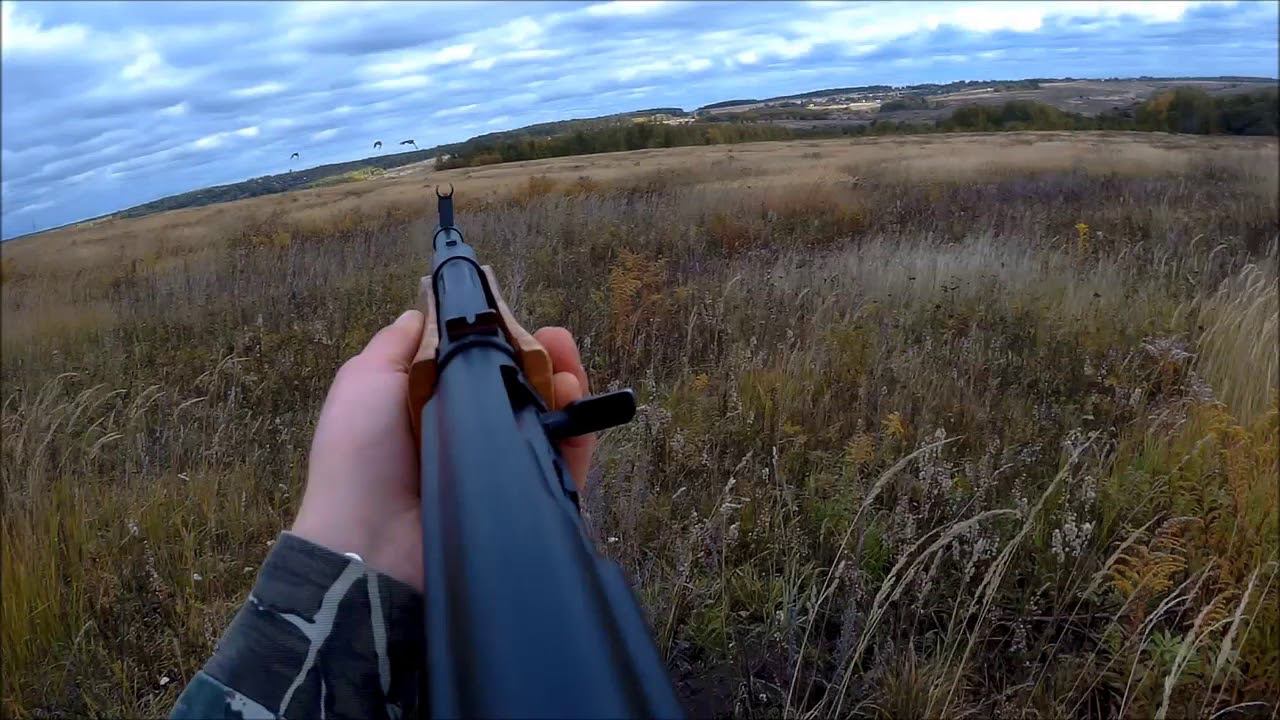 Охота с курцхааром на куропаток, сайга12