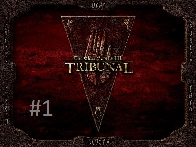 TESIII Tribunal #1 Нападение Тёмного Братства (Основной квест).mp4