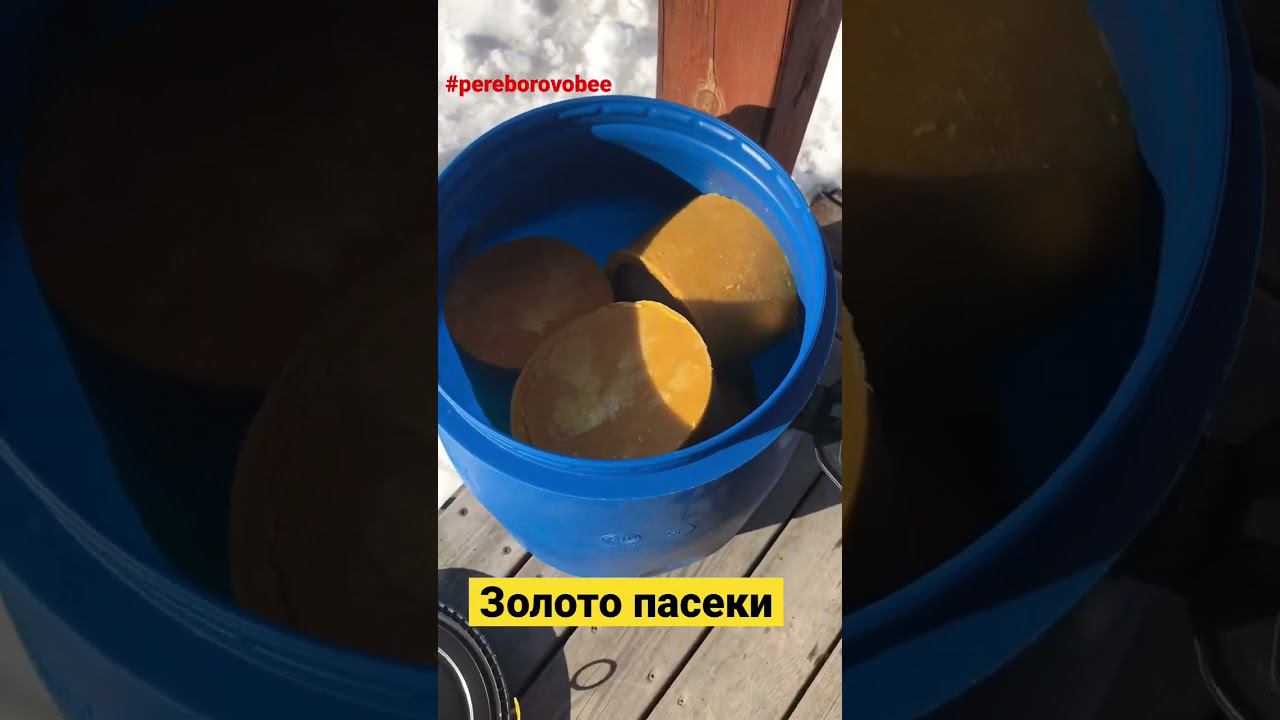 Золото пасеки! ПЧЕЛОВОДСТВО! #pereborovobee #пчеловодство #улей #пасека #мёд #bee #сделайсам