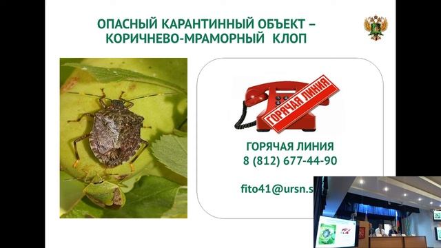 Публичные обсуждения по итогам 1 квартала 2018 года (Санкт-Петербург)