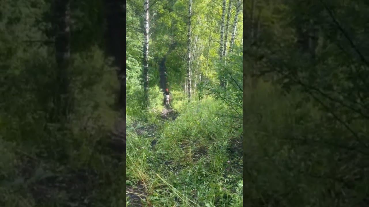 Первый опыт #enduro #лето #ataki #эндуро #питбайк #мотоцикл #рекомендации #падение #подпишись