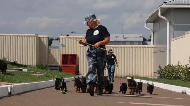Подготовка к серьезной службе