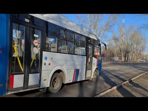 Сибирские просторы. Наши уточки. Иглаково.