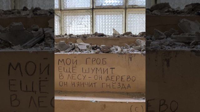 Франтишек Грубин - Ещё не осень (мой гроб еще шумит в лесу...) (песня сгенерирована SunoAi)