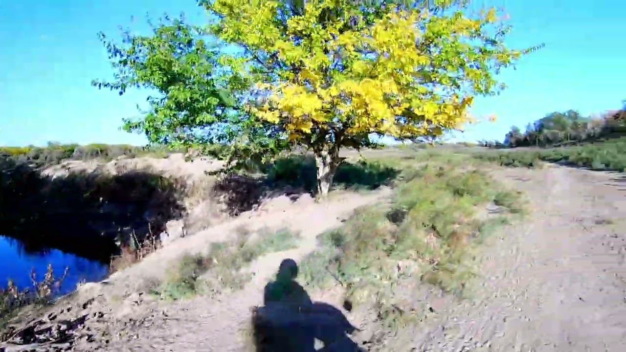 Выехал в Астраханскую жару в степь,посмотреть что нового!