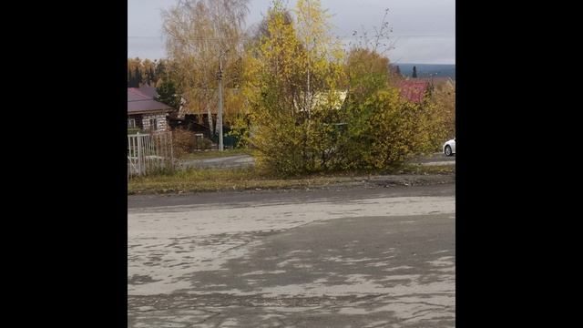 ПЕСНЯ ЗАГРУСТИЛА БЕРЕЗКА.