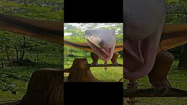 курортный город Зеленогорск , Динопарк , парк динозавров