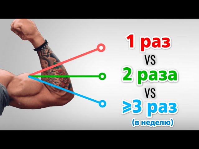 КАК ЧАСТО ТРЕНИРОВАТЬ мышцы. ОПТИМАЛЬНАЯ ЧАСТОТА ТРЕНИРОВКИ мышц для НАБОРА МАССЫ