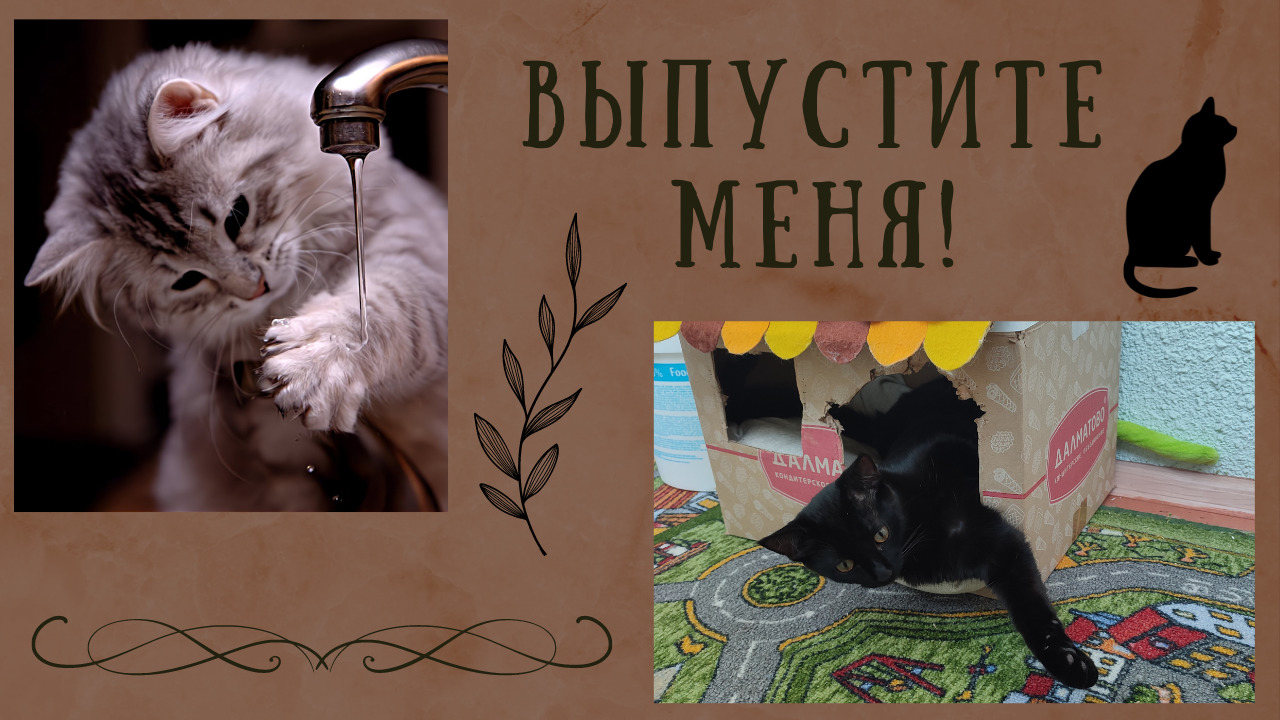 Сначала умойся, а потом гулять!