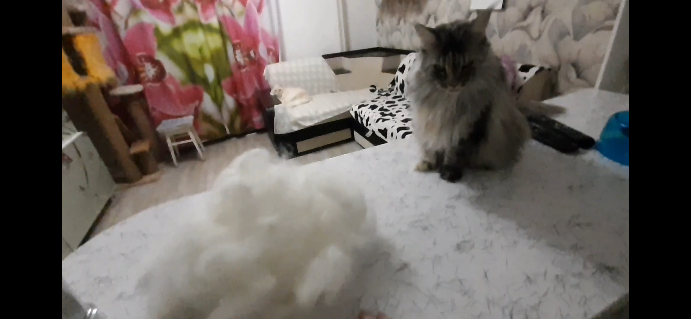 Весна идёт! Разденем кошечек? ?