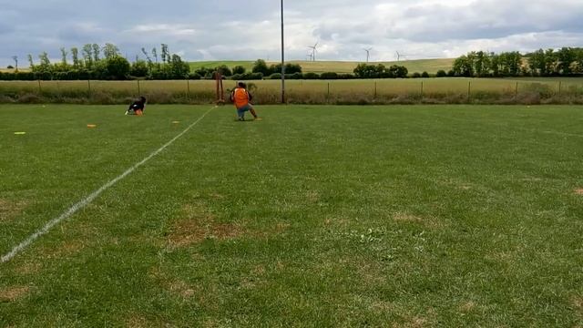 Qualifier Austria'17  Josef & Dusty.mp4