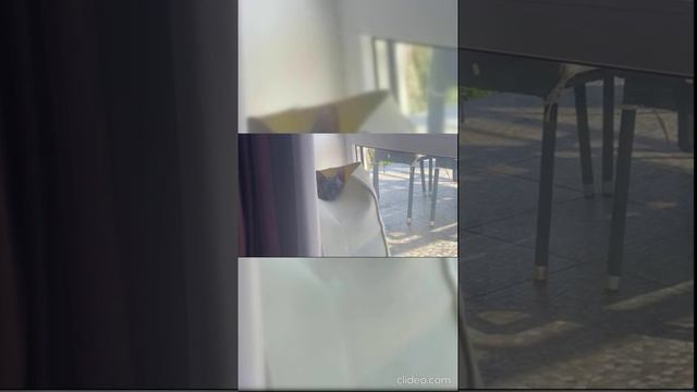 Ты или не ты?