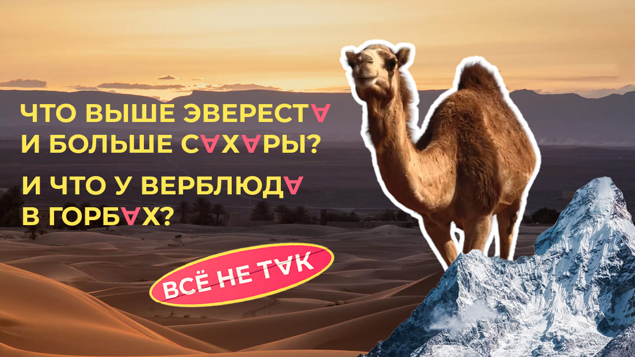 Всё не так | Выпуск 2 | Что выше Эвереста и больше Сахары? И что у верблюдов в горбах?