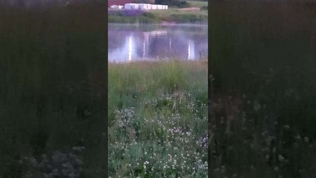 рыбалка 7 июня