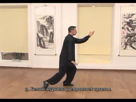 Тайцзи-цюань Ян 24ф. - подробности № 16-17 формы с доктором Бутримовым. Ассоциация Даоинь России