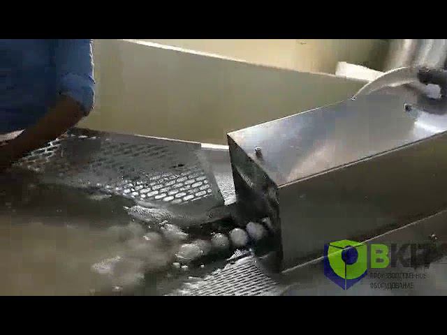 Линия переработки яйца мойка+чистка+дезинфекция+яйцебойка