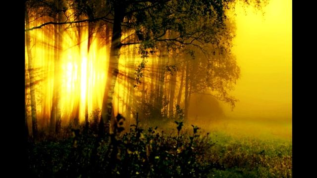 Библия. 67-04. Послание к Ефесянам апостола Павла (04). Итак, я, узник в Господе.