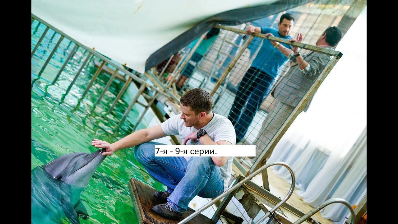 Сериал «Дельфин» 2 ой сезон 7 я   9 я серии  Анонс