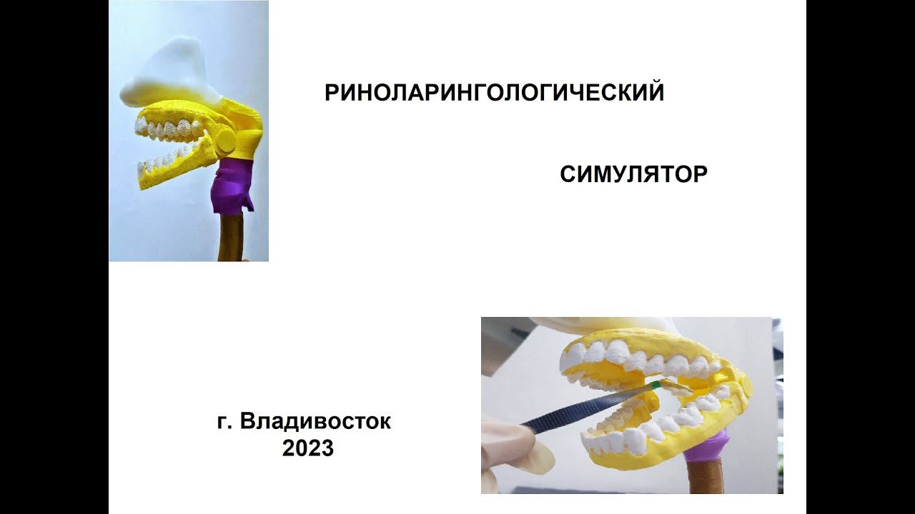 Риноларингосимулятор, Владивосток 2020г. / Rhinolaringosimulator, Vladivostok 2020