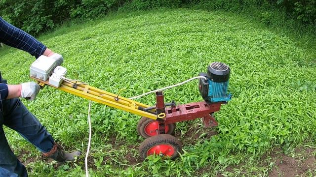 Борьба с сорняками.