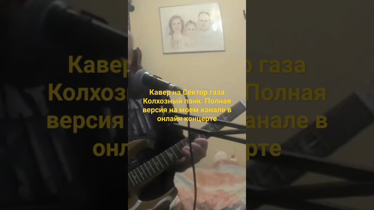 Соло кавер на Сектор газа Колхозный панк